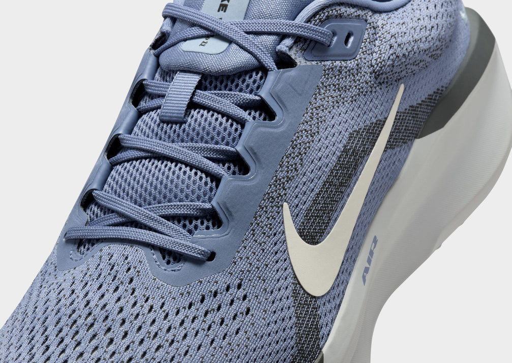 Blue Nike Winflo 11 - JD Sports Singapore