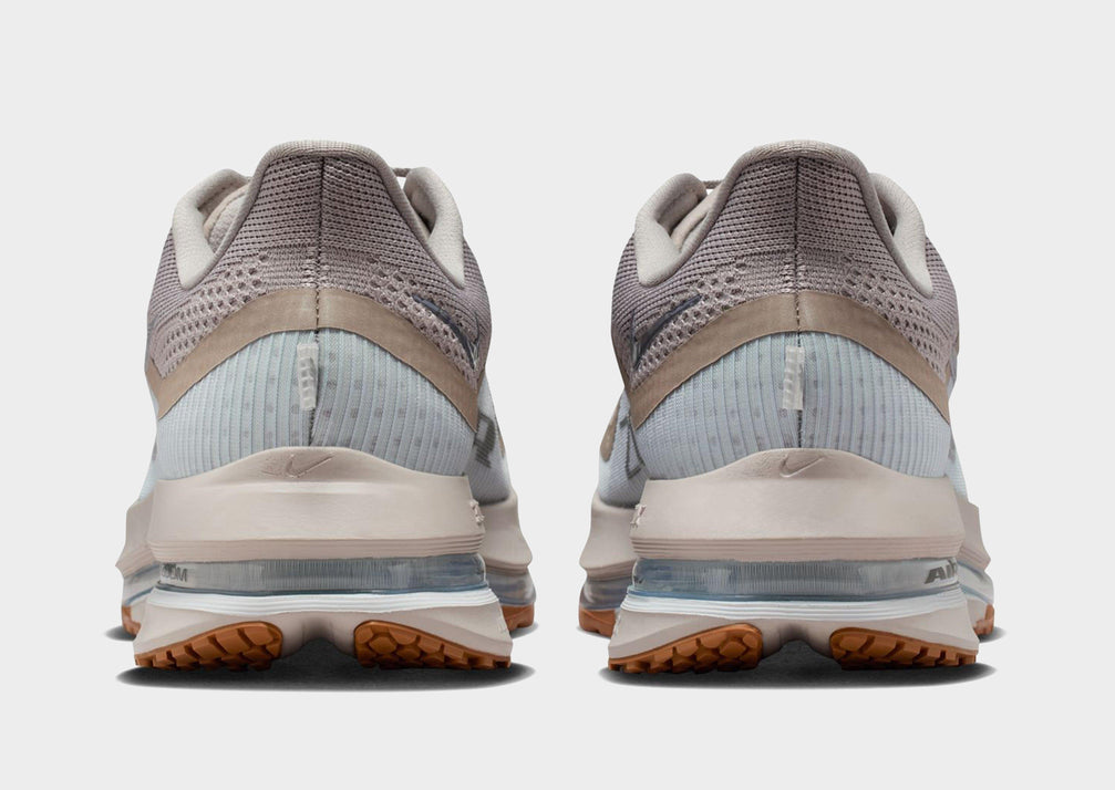 Grey Nike Pegasus Premium - JD Sports Singapore